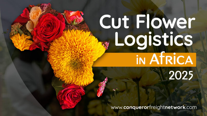 Independent freight forwarders guide to flower logistics in Africa